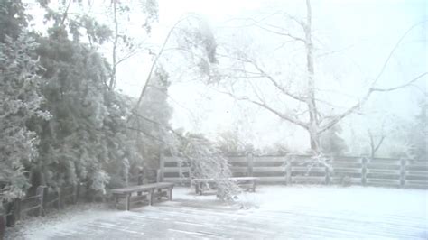 太美了！太平山降雪七小時 地面結霜、霧淞美景 鏡週刊 Mirror Media