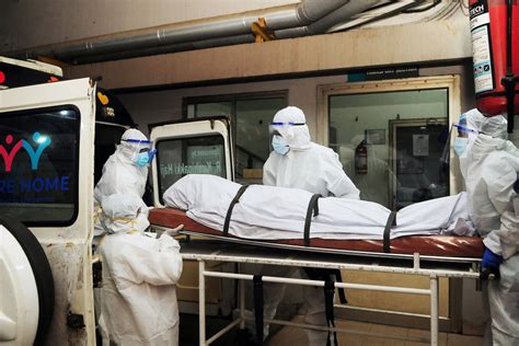 Miraculous Recovery All 4 Nipah Virus Patients In Kerala Triumph Over