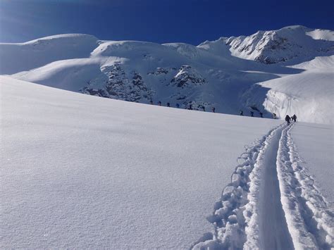 Sci Alpinismo Alla Cima Di Solda Tour Di Sci Intorno Al Massiccio