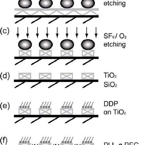 Schematics Of The Presented Process From The Particle Self Assembly To