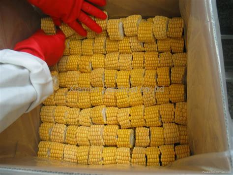 Iqf Sweet Kernel Cornfrozen Sweet Kernel Corniqf Sweetcorn Kernels