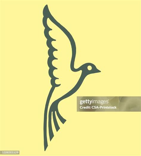 97 Bird Tail Logo High Res Illustrations Getty Images