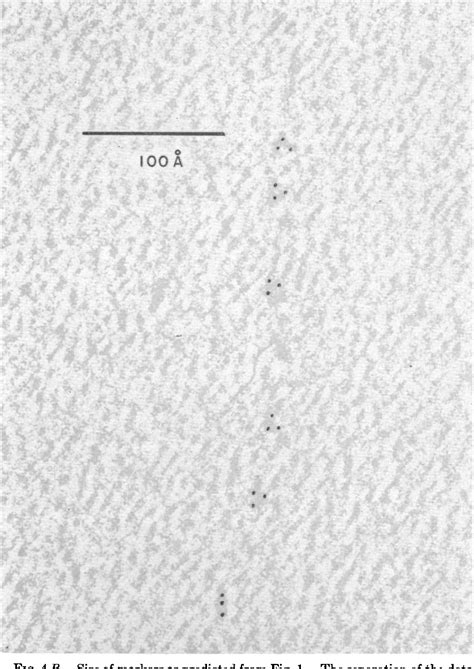 Figure 3 From Determination Of Base Sequence In Nucleic Acids With The