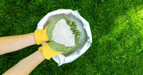 Fertilizer Numbers For Lawn Grass Whats Best For Your Lawn