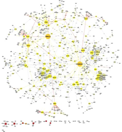 Figure A5 Topological Representation Of Bn2 Subnetwork Node Size Is