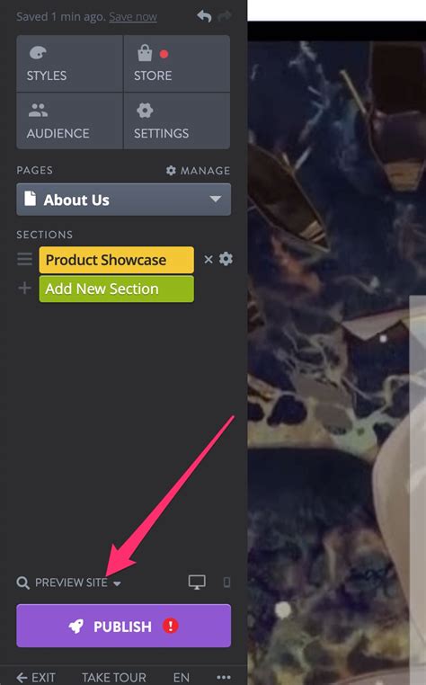 Undoredo Buttons And Site History Strikingly Help Center