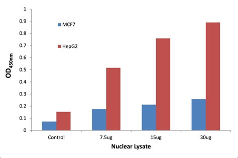 P53 Phospho Thr18transcription Factor Activity Assay Tfab00069