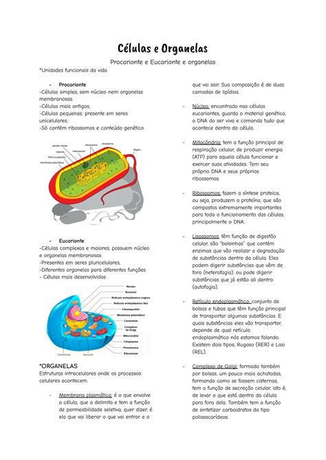 Biologia Celular Resumo Pdf Fdplearn
