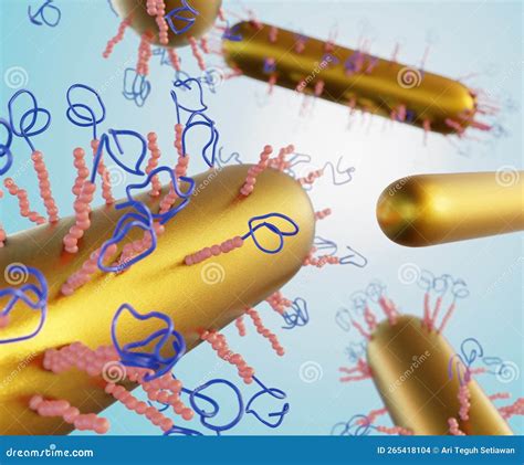 Polymeric Nanoparticle As A Nanocapsule Use As Imaging Agents Or For