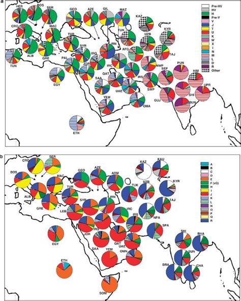 Dense Sampling Of Ethnic Groups Within African Countries Reveals Fine