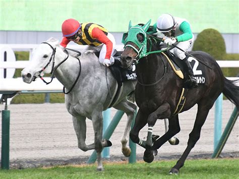 【タンザナイトs結果】カルネアサーダがハナ差逃げ切りv 競馬ニュース Netkeiba