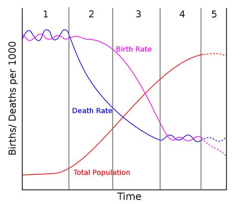 The Demographic Transition Model Revision Notes In Gcse Geography My