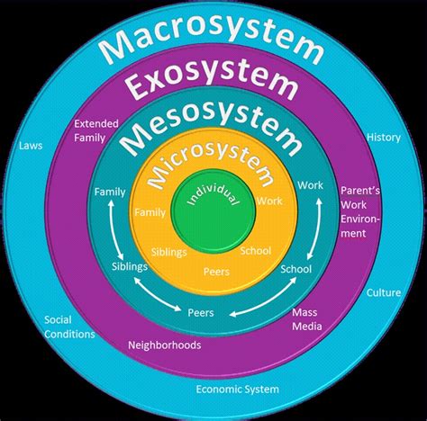 Bronfenbrenners Ecological Model Of Development Ecological Systems