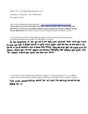 Cell And Molecular Biology Lab Lab Techniques And Dilution Course Hero