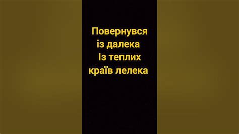Лелека Youtube