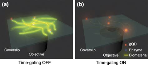 Cartoon Illustrating An Example Of A Time Gated Real Time 3d