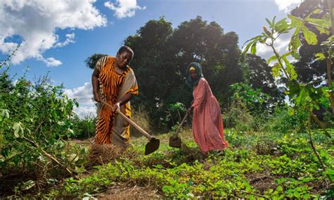 Tackling Human Wildlife Conflict In Ruvuma Wwf