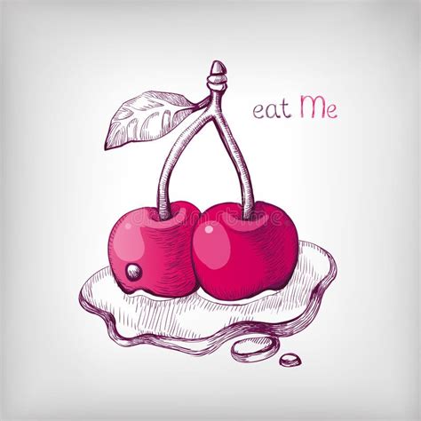 Conception Egg Sperm And Sex Stock Illustration Illustration Of