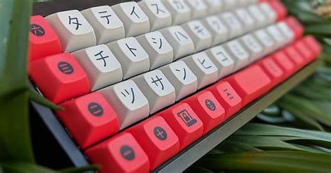 niu mini dsa otaku album on imgur