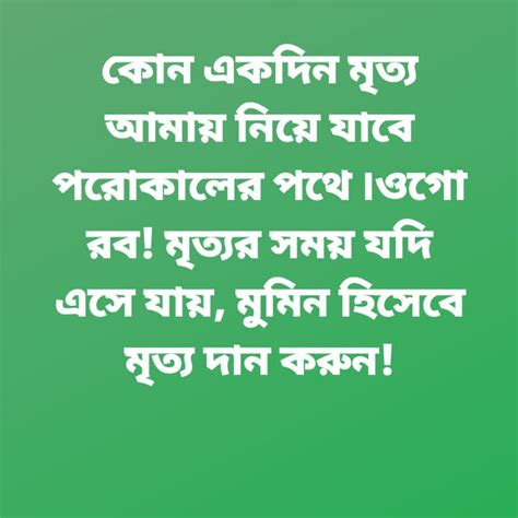 Fresh Fish Jessore তাজা মাছ