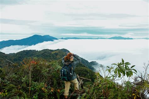 Tour Trekking Samu Hiking XuyÊn RỪng NguyÊn Sinh HƯỚng TrẠm TẤu