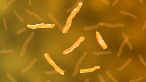 Clostridium 3d Model Turbosquid 2213926