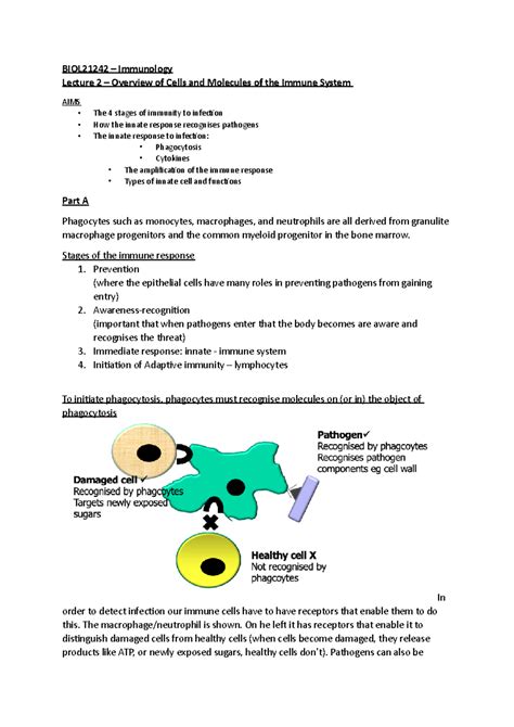 Lecture Overview Of Cells And Molecules Of The Immune System BIOL Immunology