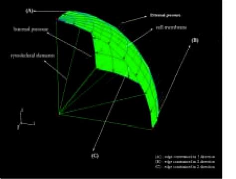 3d Finite Element Model Of A Cell Download Scientific Diagram