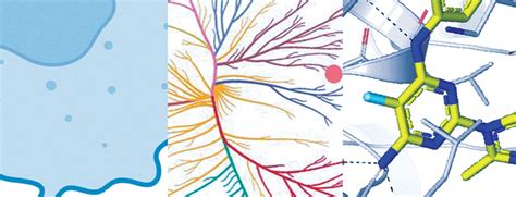 Program Targets 2023 Meetings AACR