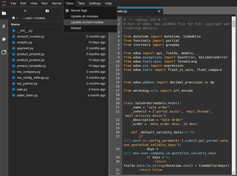 Online Editor Odoo Master Documentation