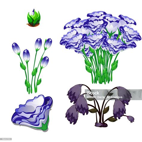 꽃 Eustoma 보라색 흰색 배경에 고립의 생활 단계 벡터 만화일러스트 레이 션 0명에 대한 스톡 벡터 아트 및 기타 이미지
