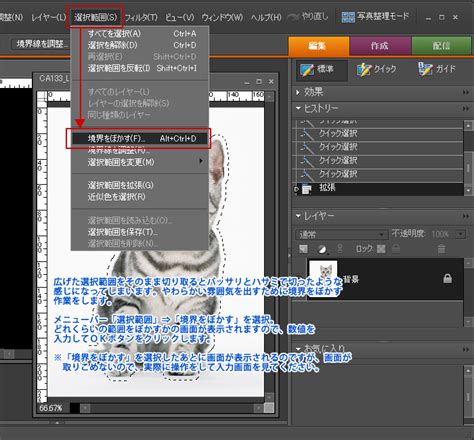 パソコンや携帯電話用の壁紙を作る｜初心者でもできる Adobe Photoshop Elements7（フォトショップエレメンツ7） 操作