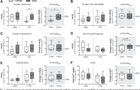 Figure 3 From Sexual Dimorphism In Human Skeletal Muscle Mitochondrial