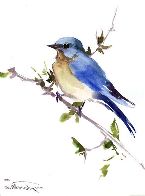 Eastern Bluebird Original Watercolor Painting 12 X 9 In Bluebird