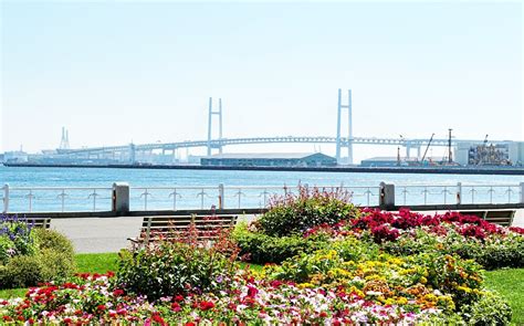 【神奈川】横浜市山下公園周辺｜海を見ながら観光とランチの1日デートプラン 日本旅遊manaluluマナルル