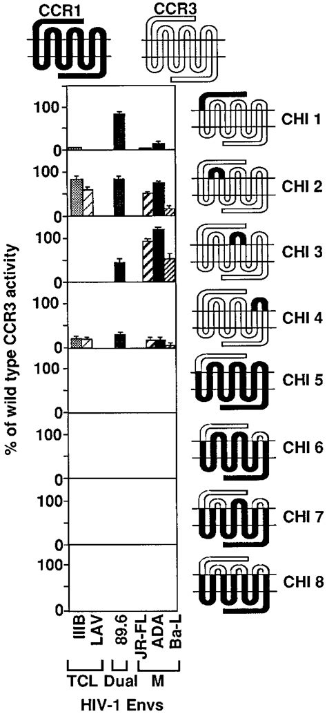 Hiv 1 Coreceptor Activity And Specificity Of Ccr1ccr3 Chimeric