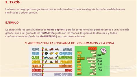 CIENCIAS NATURALES CLASIFICACIÓN DE LOS SERES VIVOS CONTINUACIÓN