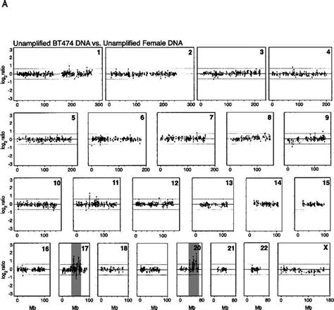 Evaluation Of Dna Amplification Bias Using Arraycgh On Human Cdna