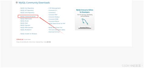 Linux安装mysql数据库，并配置开机自启（图文版），超详细版！！！mysql开机自启 Csdn博客