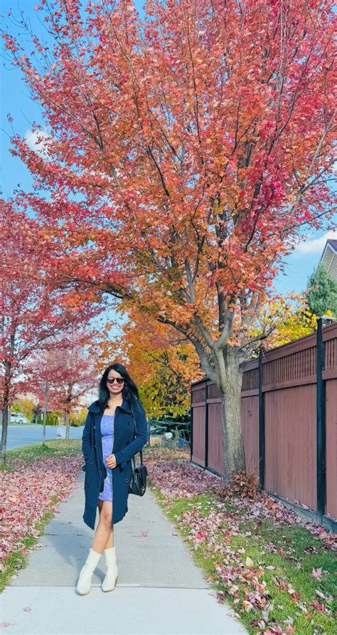Akanksha Kadam On Linkedin As The Leaves Turn Were Reminded That