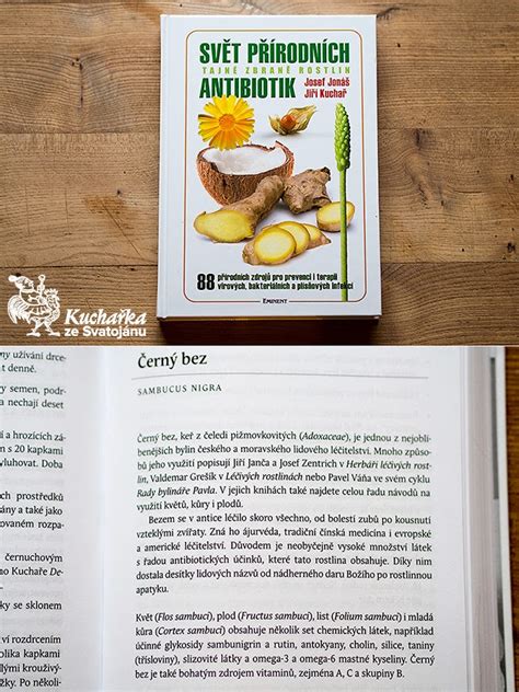 Kuchařka ze Svatojánu SVĚT PŘÍRODNÍCH ANTIBIOTIK