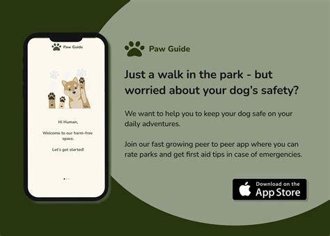 Paw Guide App — Dashboard Project Monika Rojek Medium