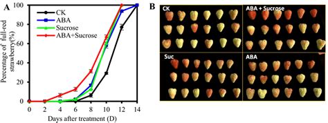 Influence Of Exogenous Abscisic Acid Aba And Sucrose On Fruit