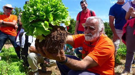 Agricultura Regenerativa