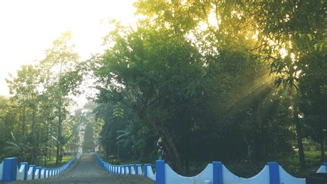 Poovathungal Varghese Mathew S House