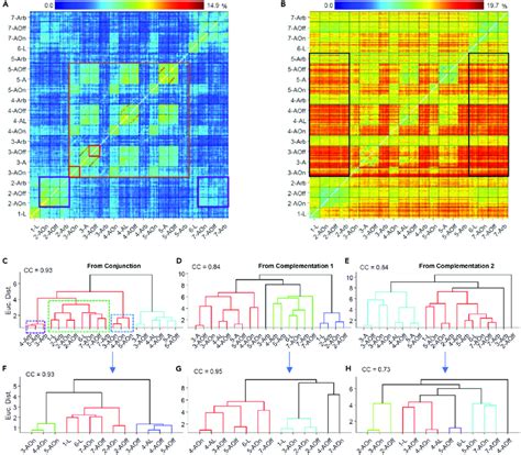 Trial Pair Wise Dynamics Of Conjunction And Complementation Of Cellular