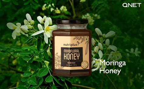 Qnet India Introduces Nutriplus Monofloral Honey Qbuzz
