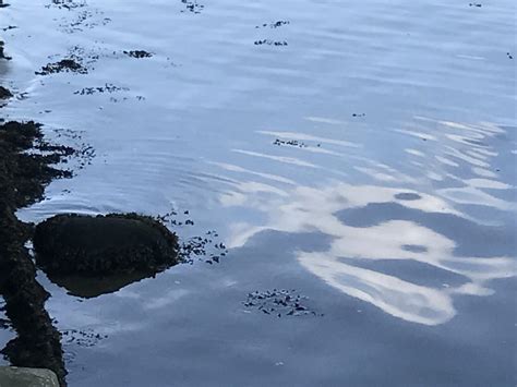 Diffraction Adventures In Oceanography And Teaching