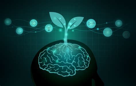 Dicas Para Aplicar Um Mindset De Crescimento Na Empresa