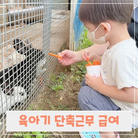 육아기 근로시간 단축근무 급여 신청 구비서류까지 알아봐요 네이버 블로그